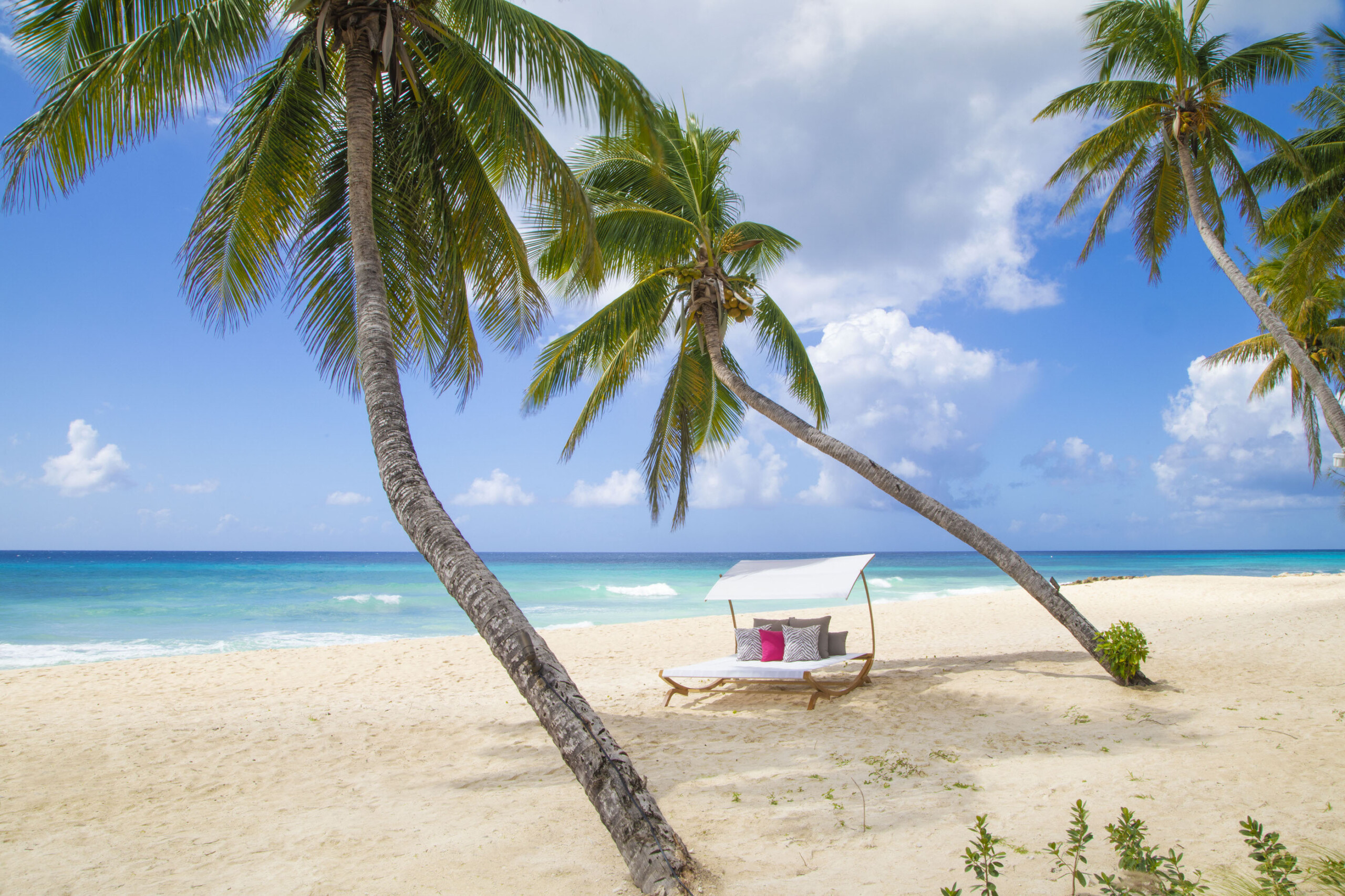 Oceanfront Residences at O2 Beach club & Spa » Barbados Real Estate ...