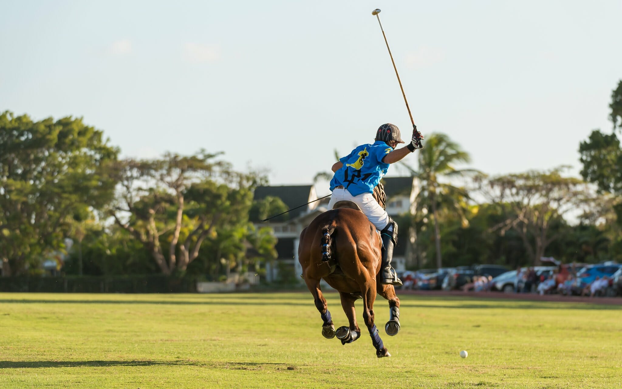 The first polo series held since pre covid has been announced as a ...